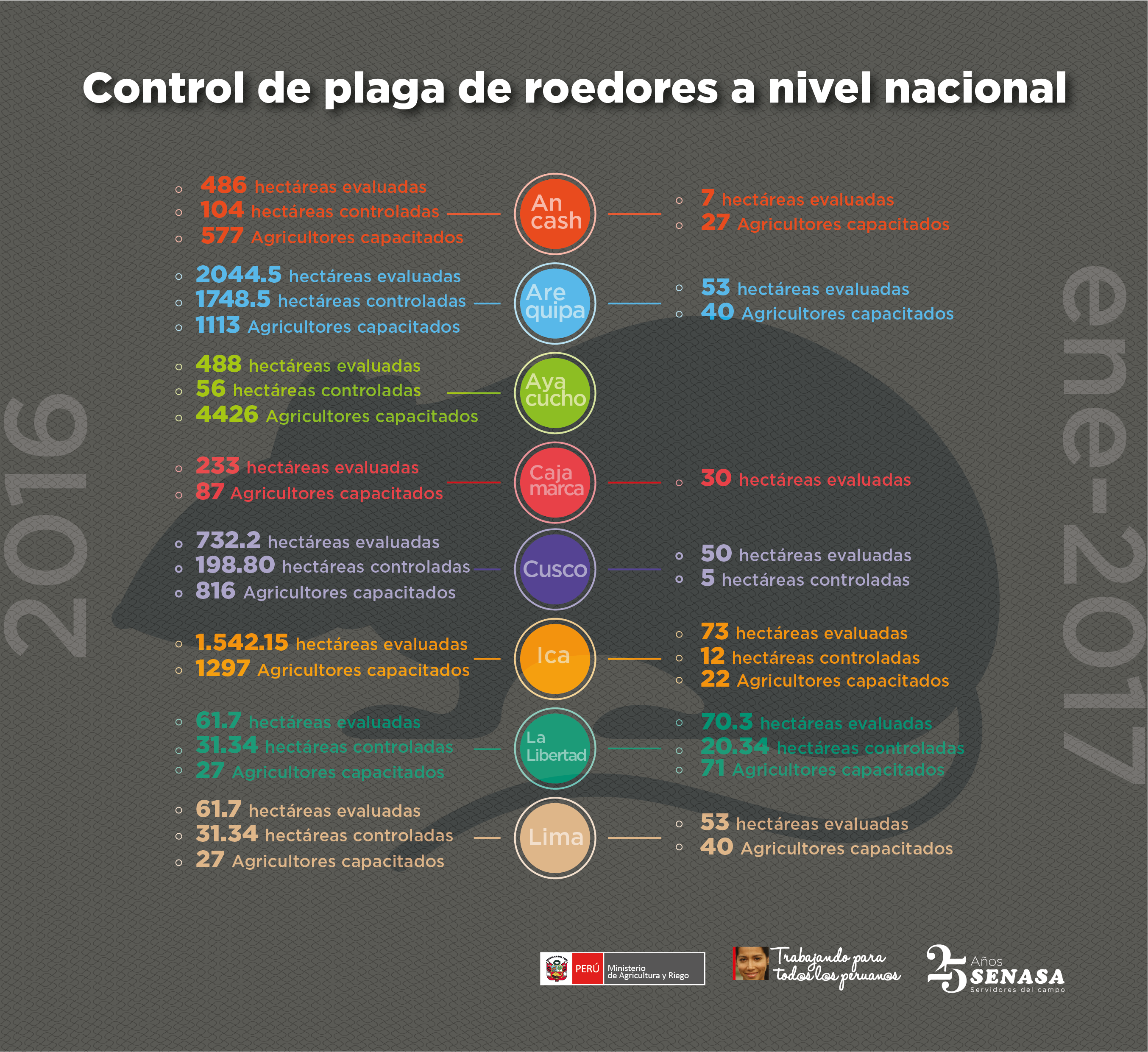 Senasa Prevención Y Control De Plaga Roedores Senasa Al Día
