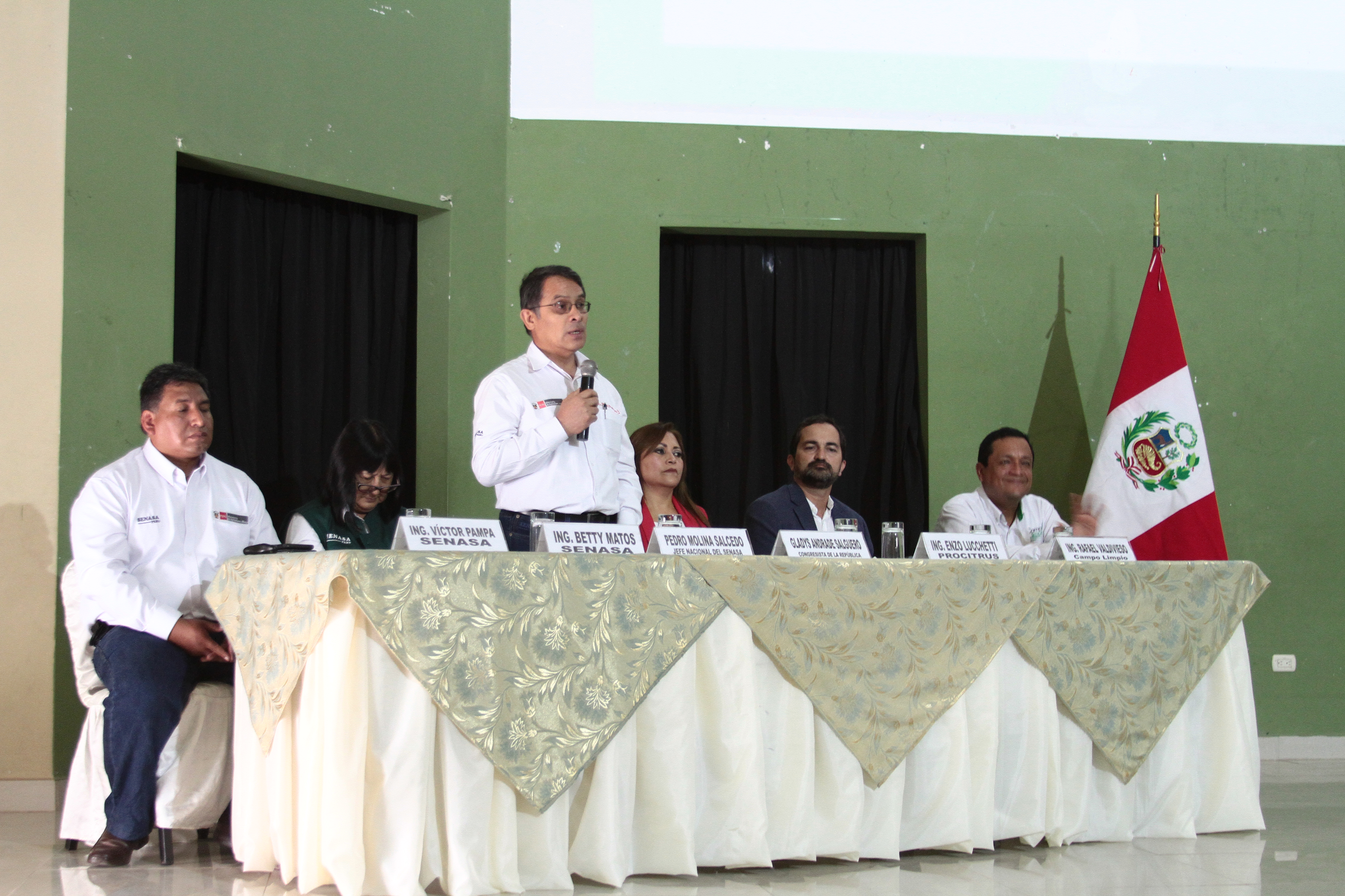 Senasa Senasa Al Día