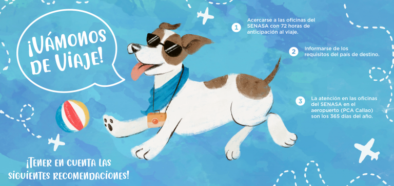 Conoce los requisitos para la salida e ingreso de mascotas al país ...