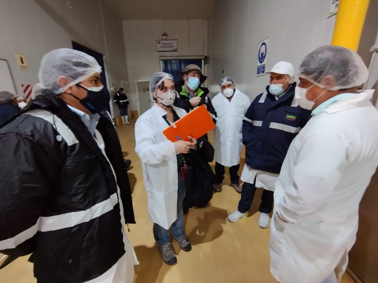 MIDAGRI: SAG Chile certificará nuevas empacadoras de arándanos en Perú ...